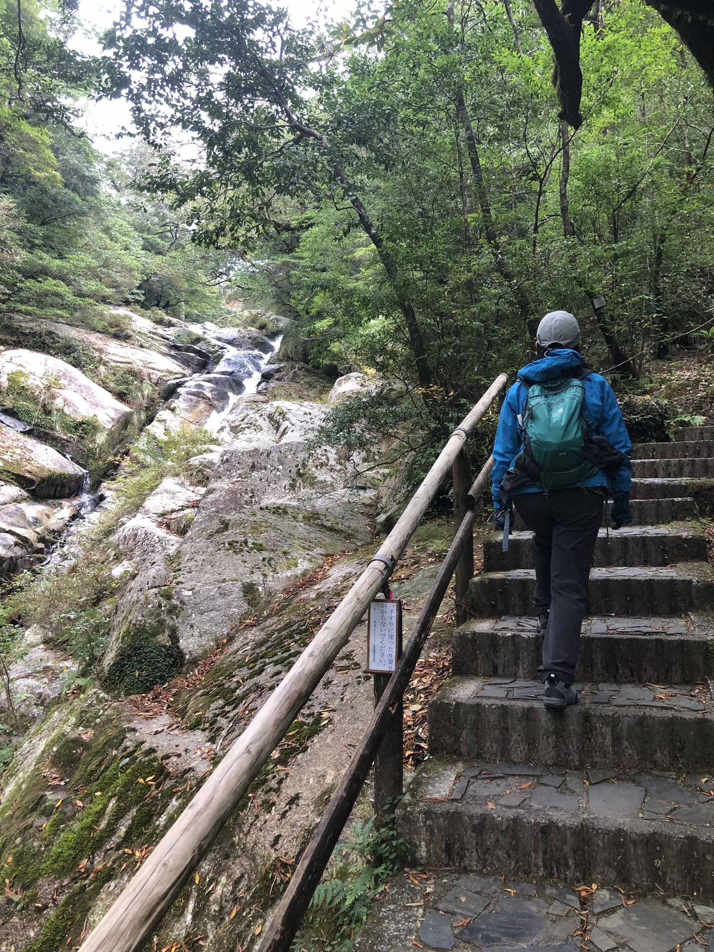 5年ぶりに白谷雲水狭へ（1）: ここは屋久島
