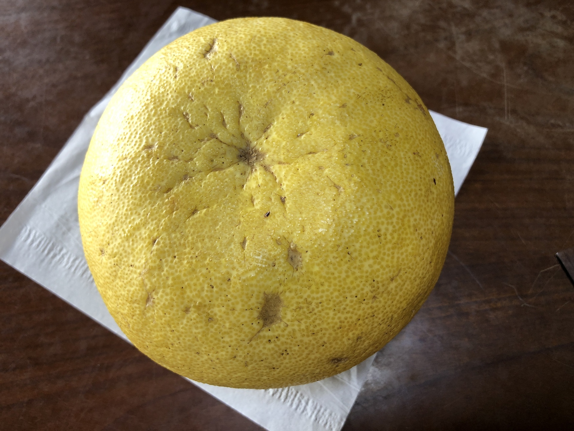 大きいな、ボンタン（ブンタン 文旦）: ここは屋久島